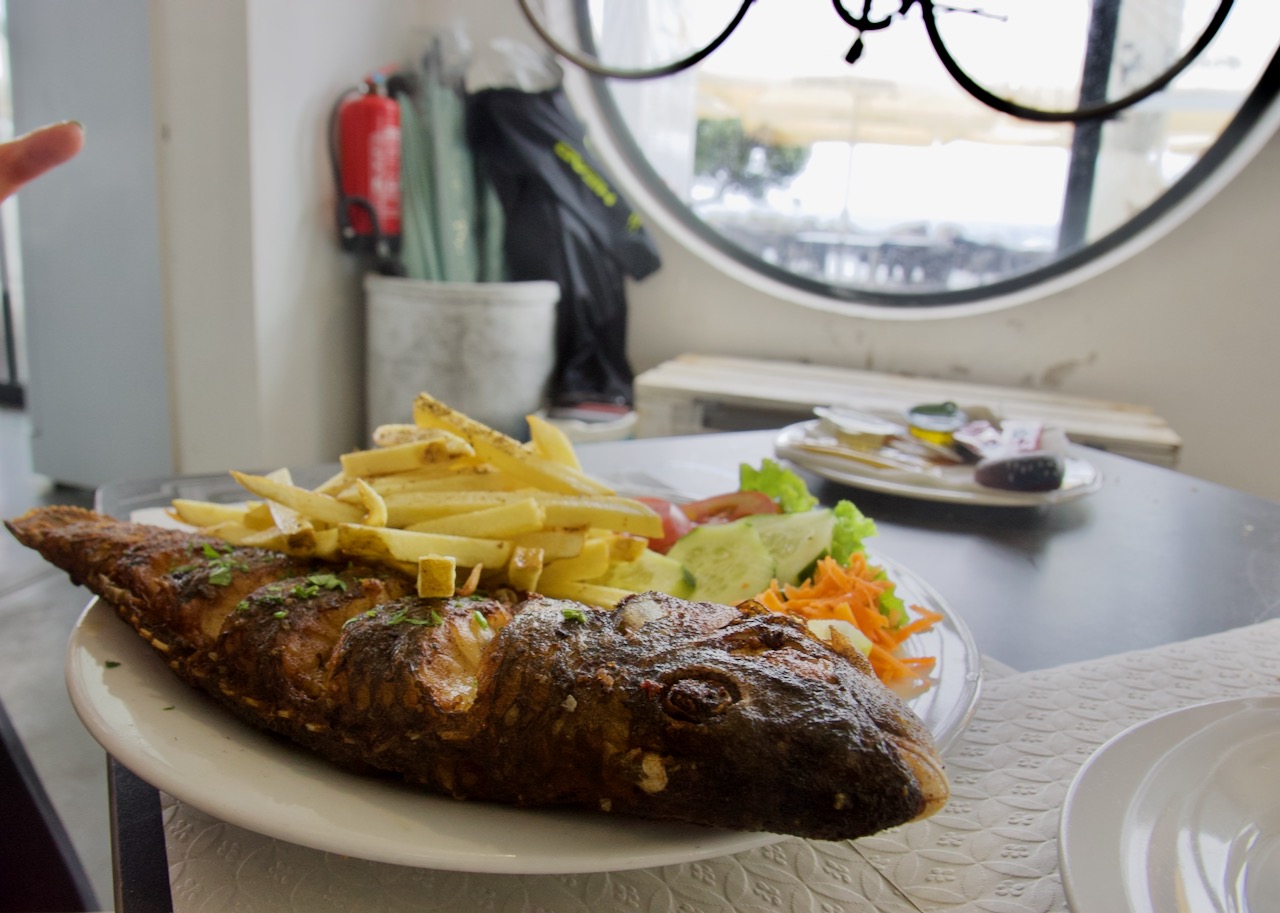 Interessante Reizen: Finding & Eating Nemo – Interessante Tijden